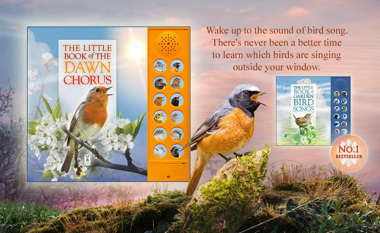 Fine Feather Press, publishers of natural history books for children ...