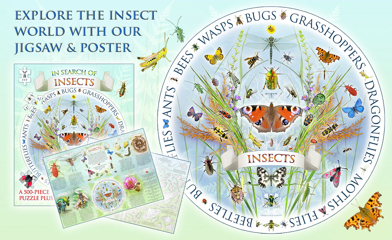 Fine Feather Press, publishers of natural history books for children ...