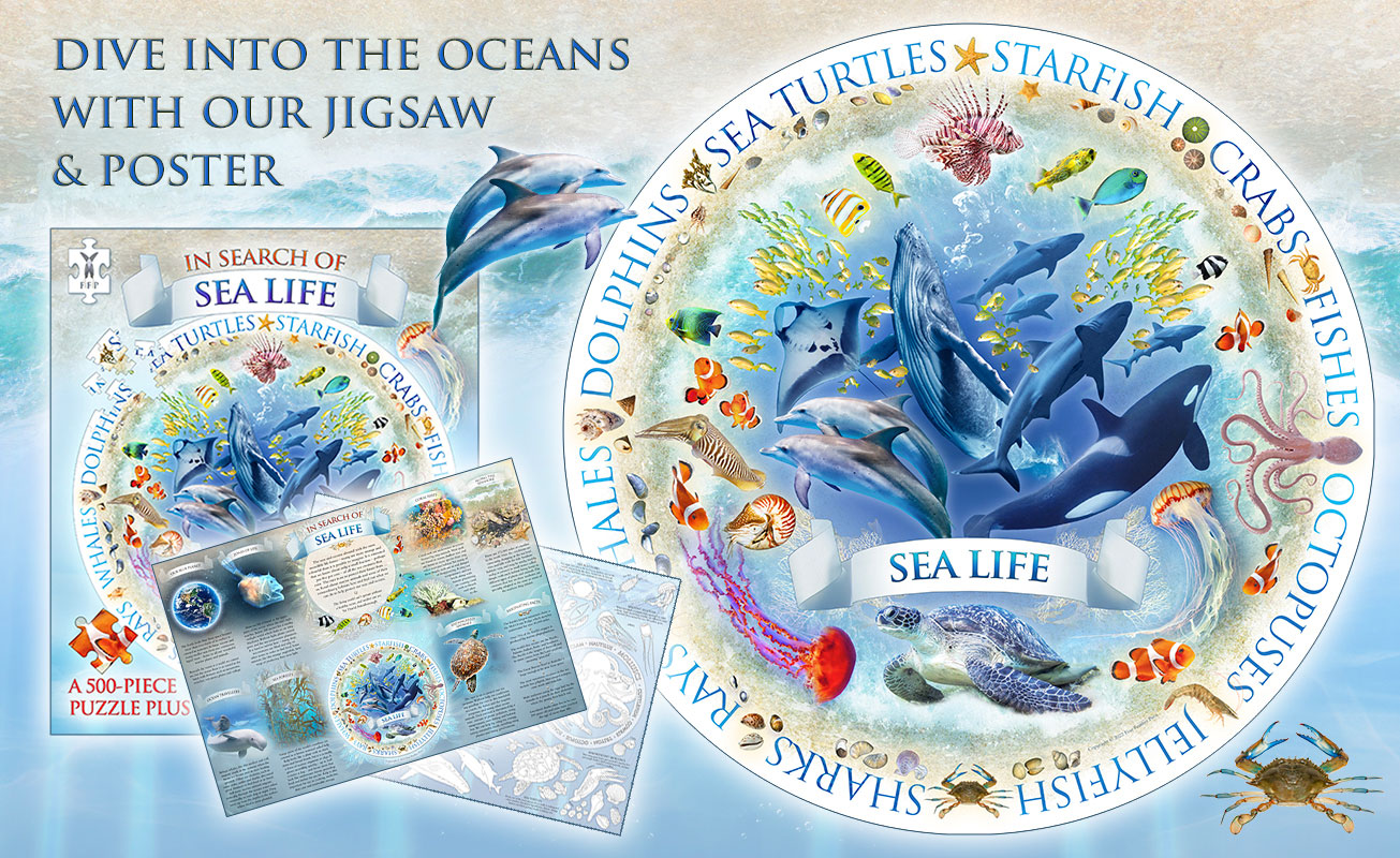Fine Feather Press, publishers of natural history books for children ...